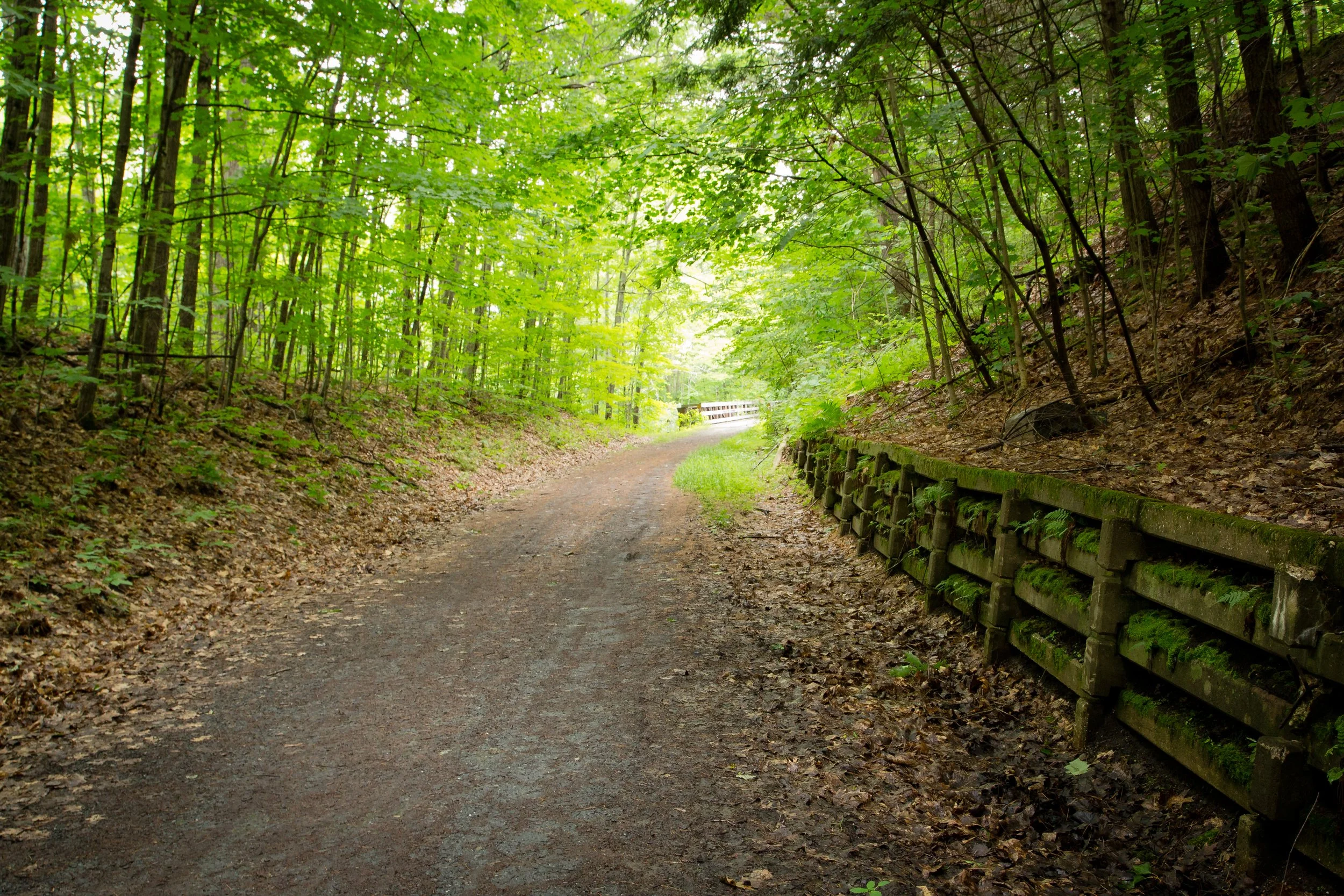 Friends of the Northern Rail Trail