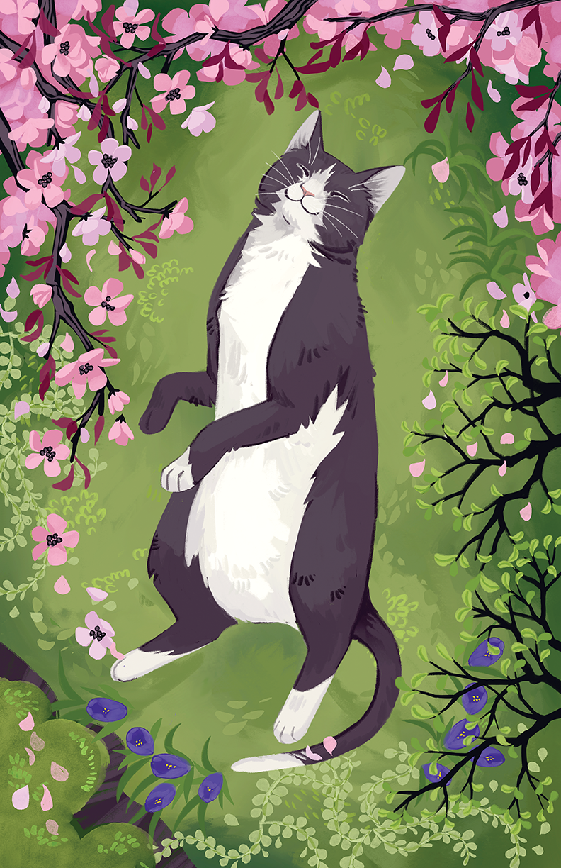 Seasonal Cats (🌸the two best seasons🍂) — Francesca Oaksford