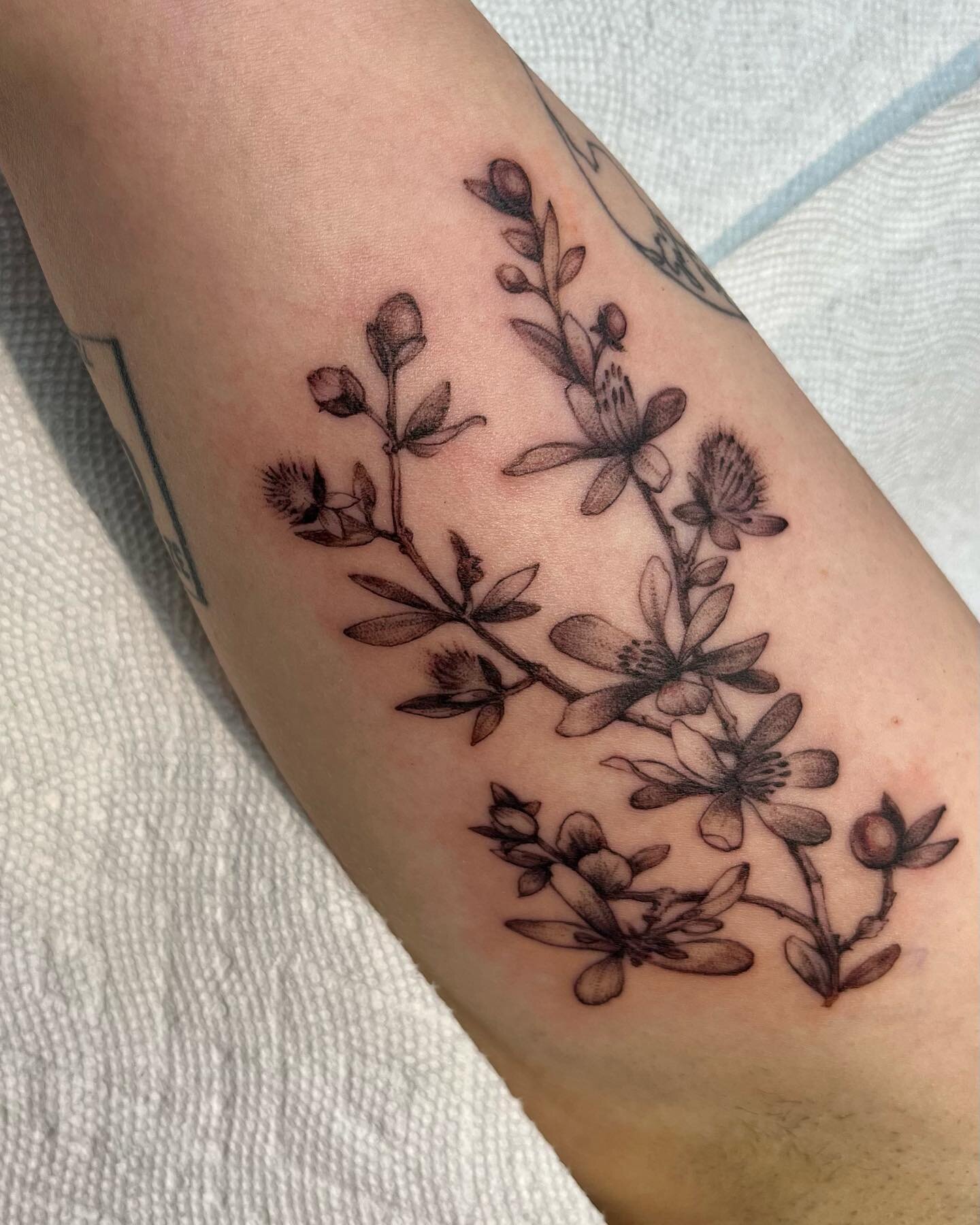 Eleanor Rose Boynton Tattoo - NYC Floral Botanical Tattoo Artist ...