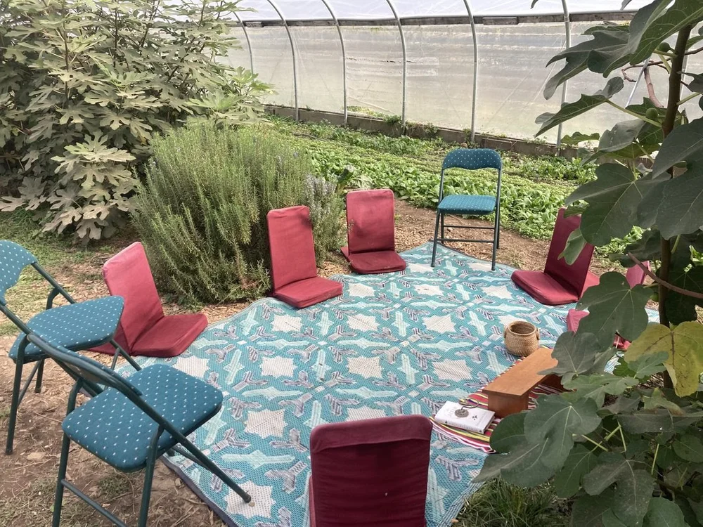 Wellness — Gather Farm