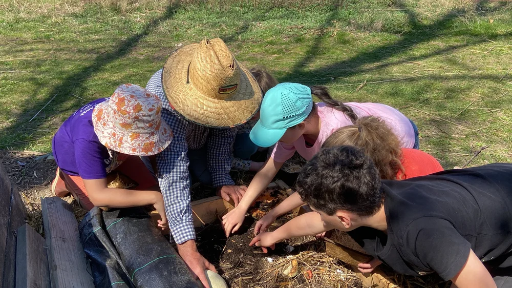 Wellness — Gather Farm