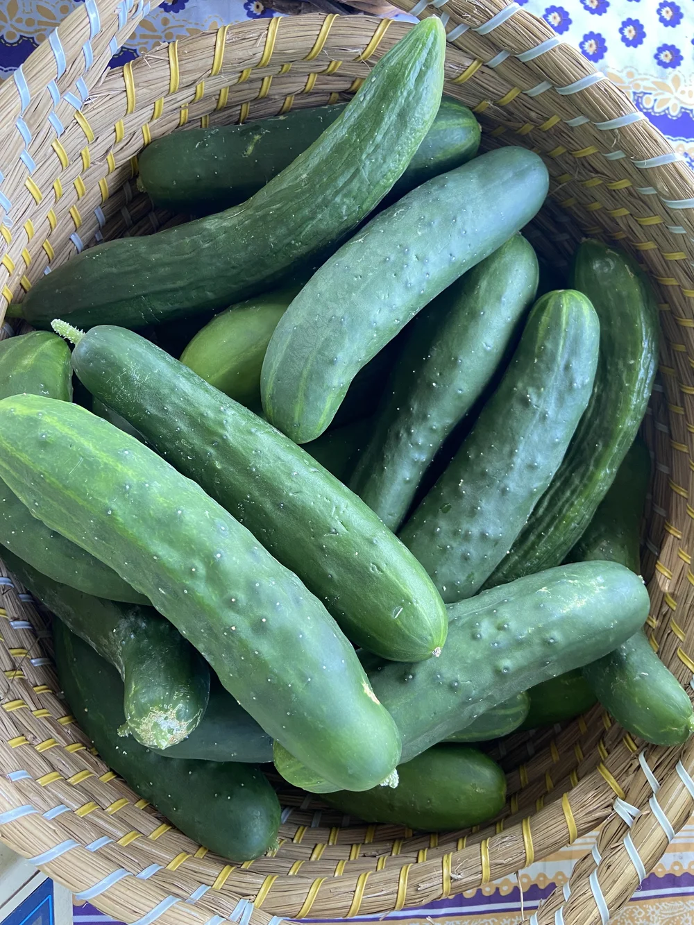 The CSA — Gather Farm