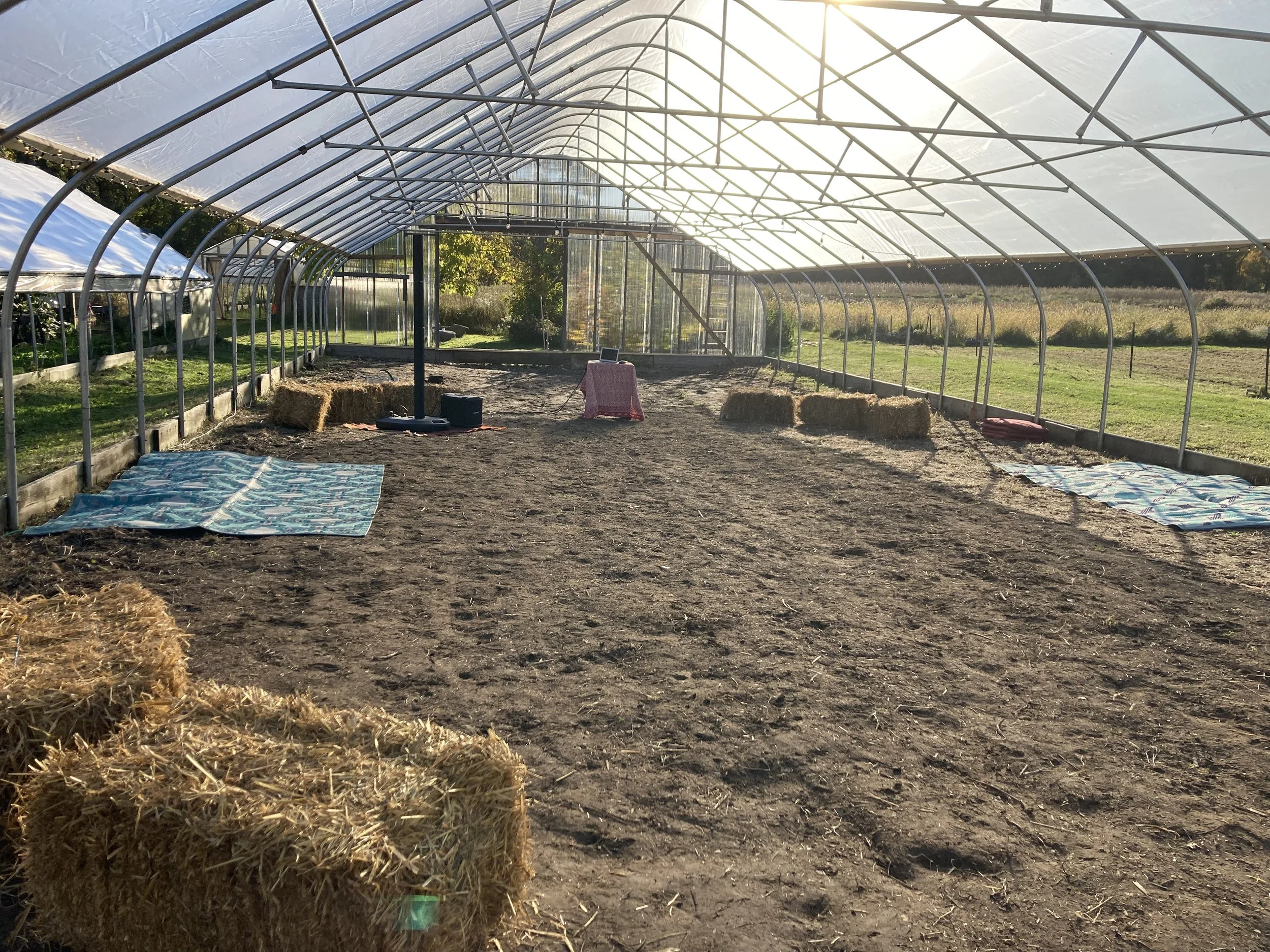 Wellness — Gather Farm