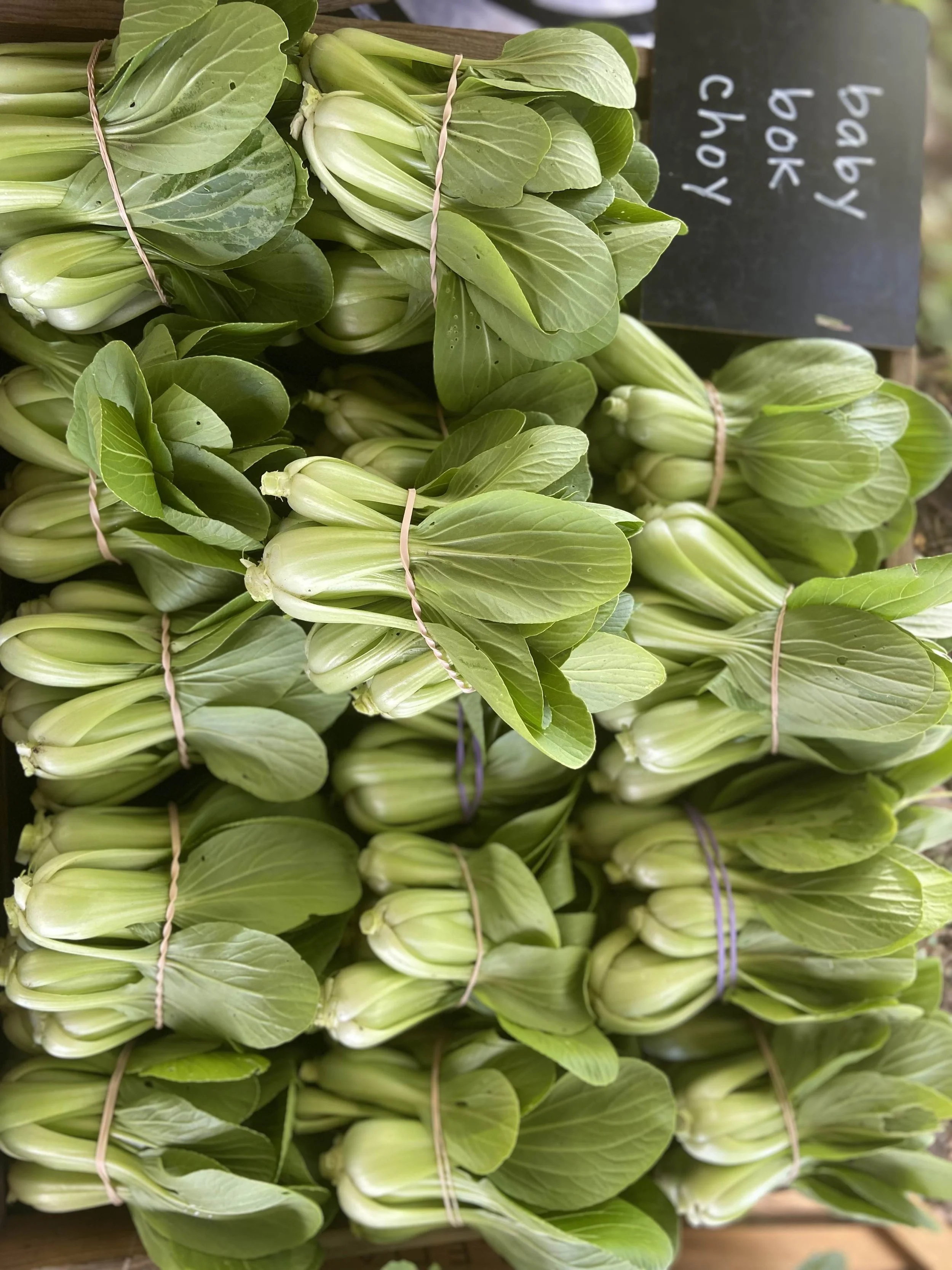 The CSA — Gather Farm