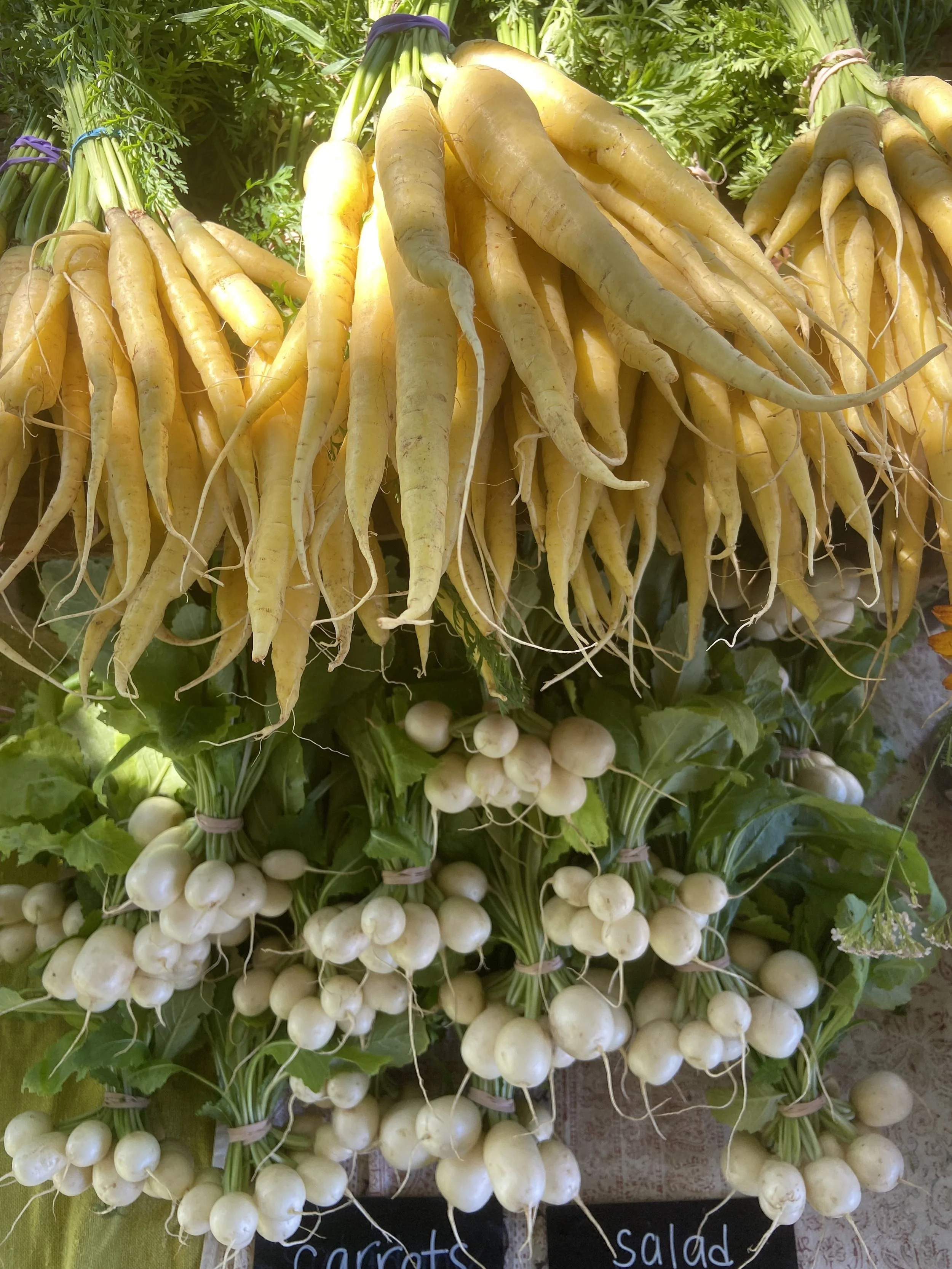 The CSA — Gather Farm