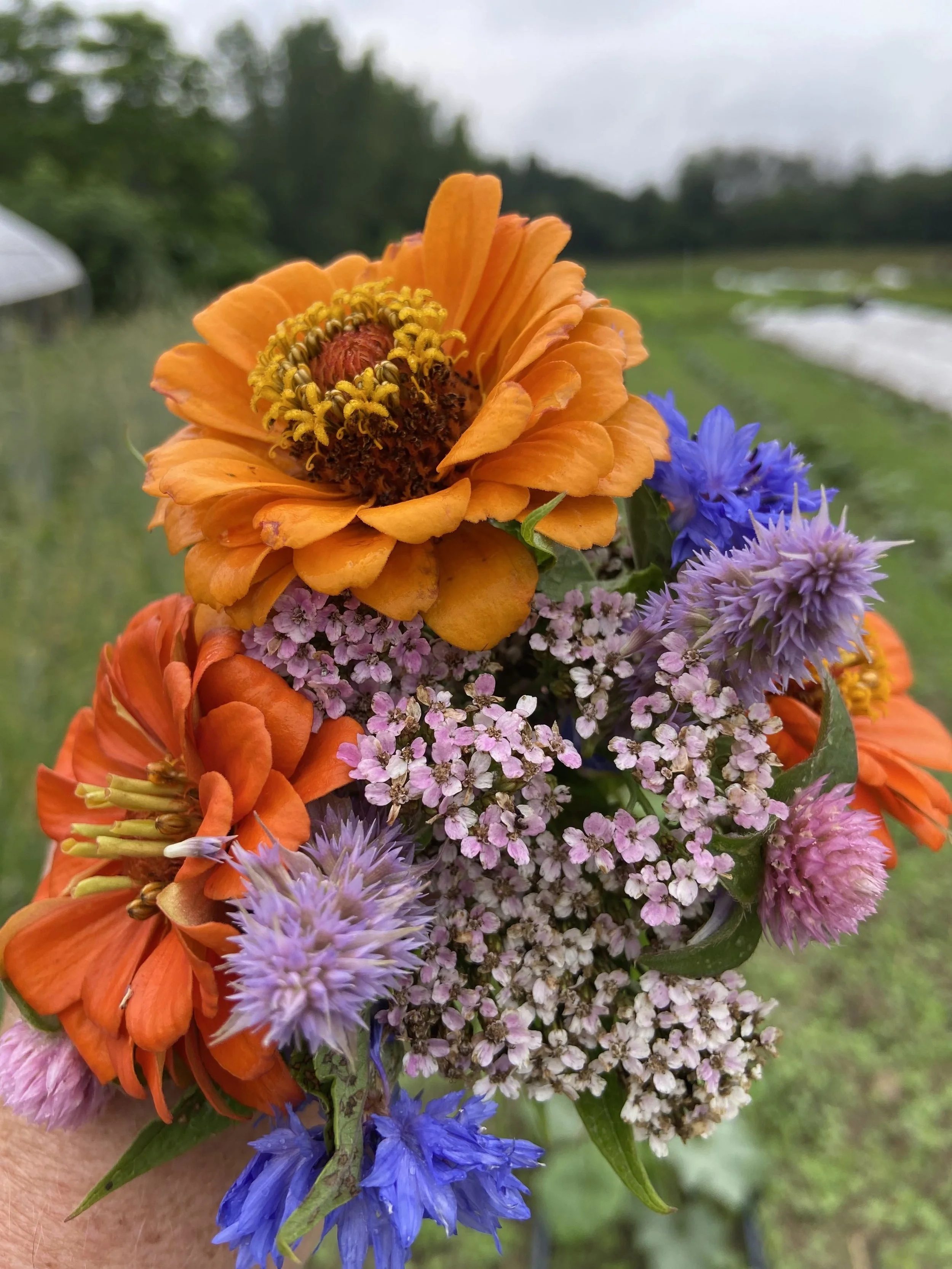 Join the CSA — Gather Farm