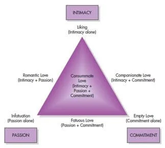 The Psychology (and Biology) of Love — Denver Psychotherapy Group