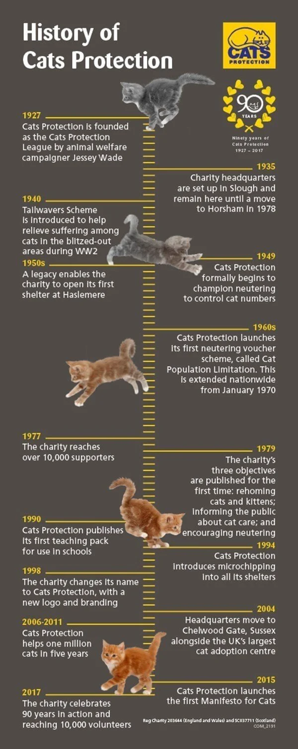 Animal rescue charity Cats Protection, its origins and aims — Cat ...