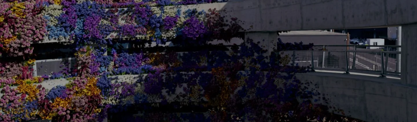 Alpha Youth Series — Alpha UK - Stay Curious. Try Alpha.