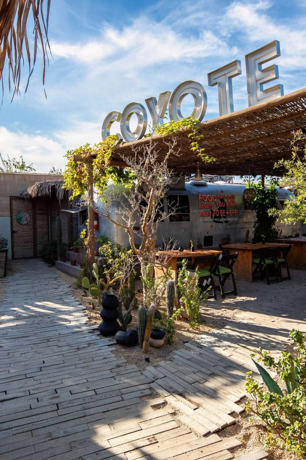 Desert and Design: Baja California Sur's Best Hotels