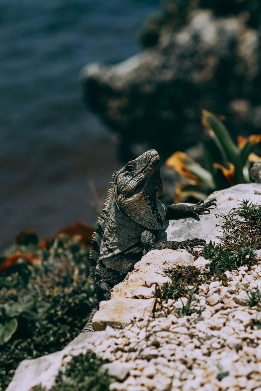 Tulum Itinerary | Our Editor’s Guide To The Perfect 5-day Trip