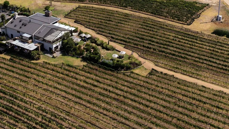 Auckland’s Best Day Trips | Must-Visit Escapes Near the City