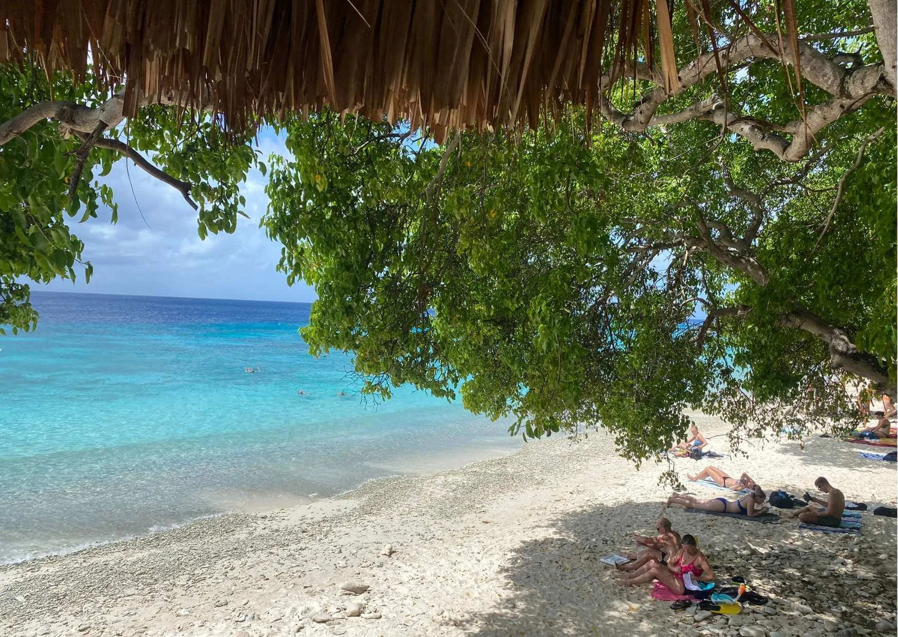 Guide To Visiting Playa Kalki (Alice in Wonderland) Curacao