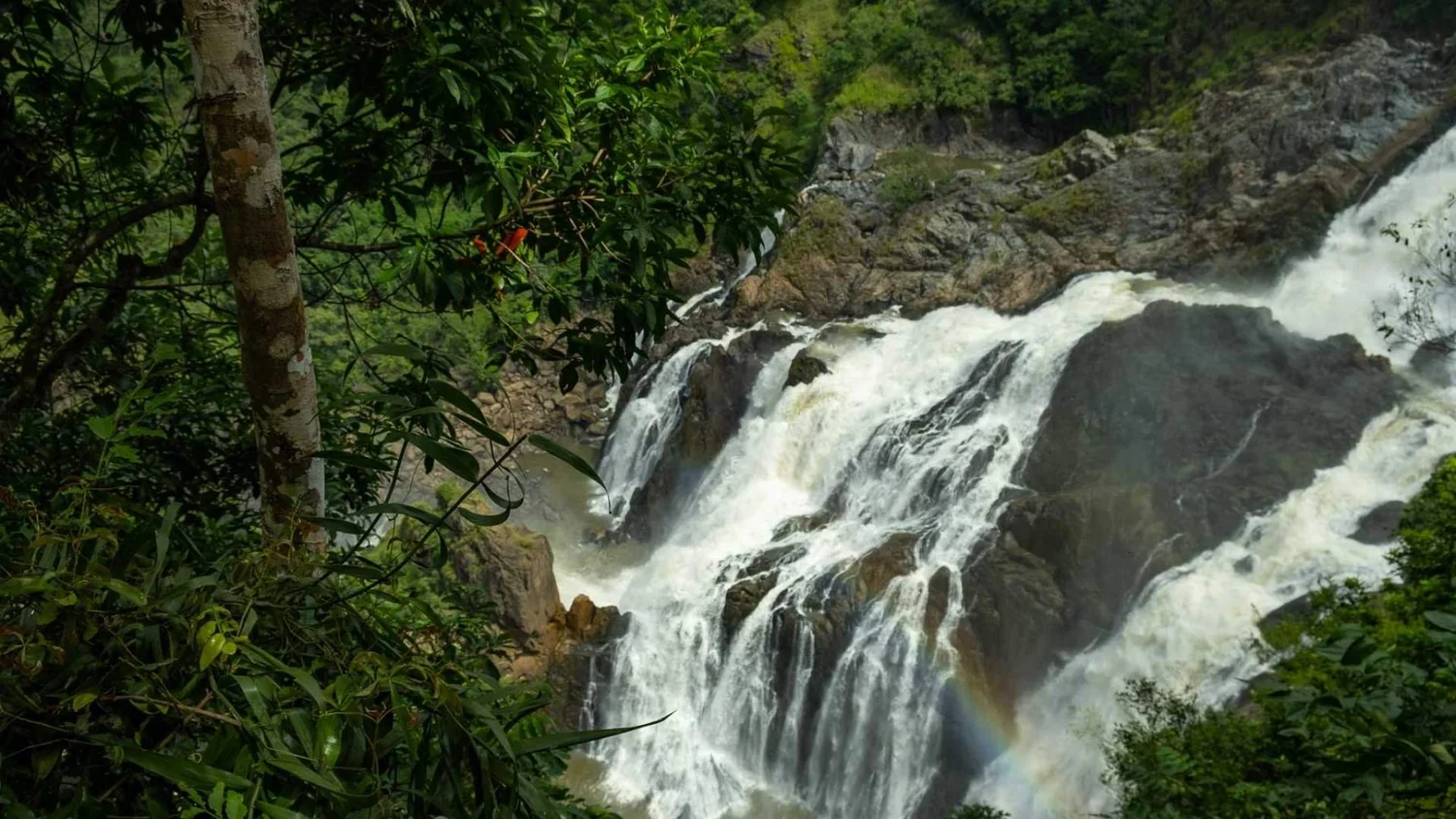 Barron Falls | A Guide to Queensland’s Iconic Waterfall