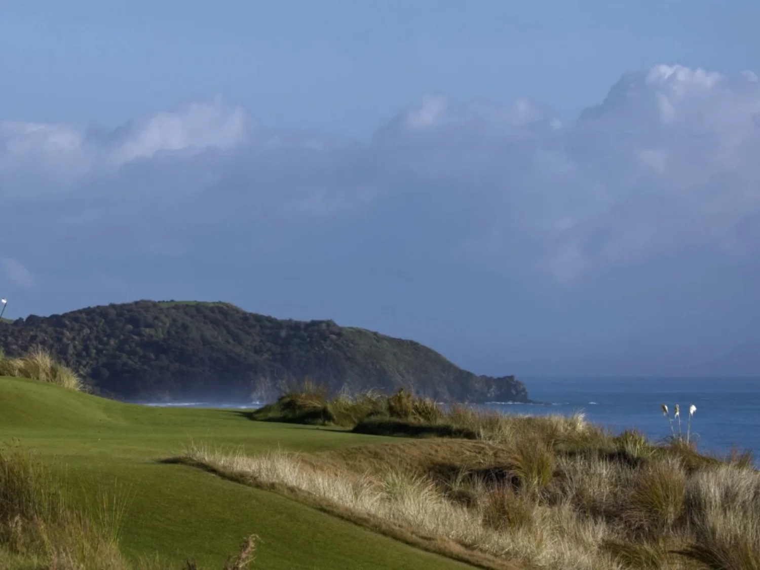 Auckland’s Best Day Trips | Must-Visit Escapes Near the City