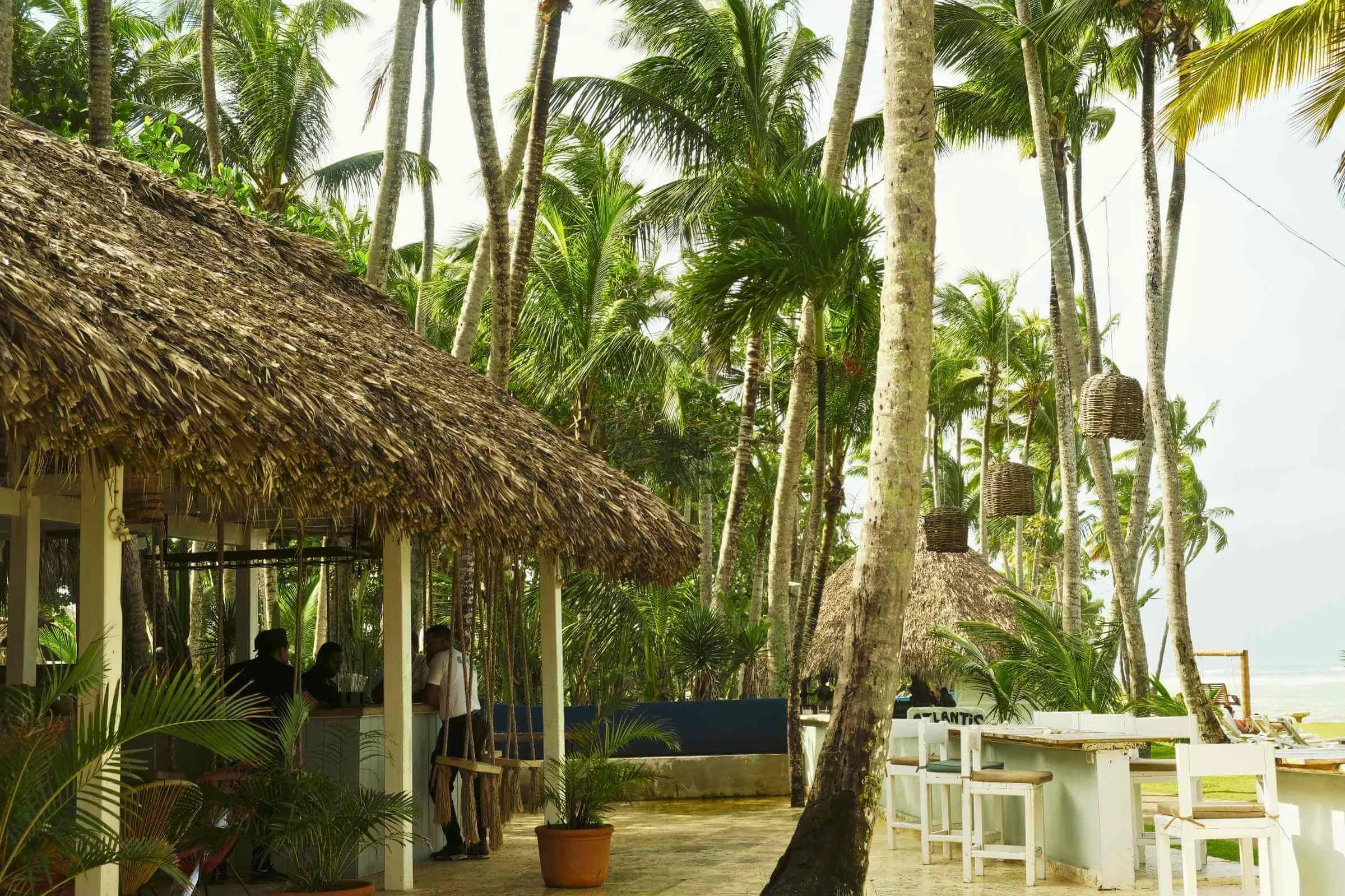 The Ultimate Guide to the Best Beach Clubs in the Dominican Republic