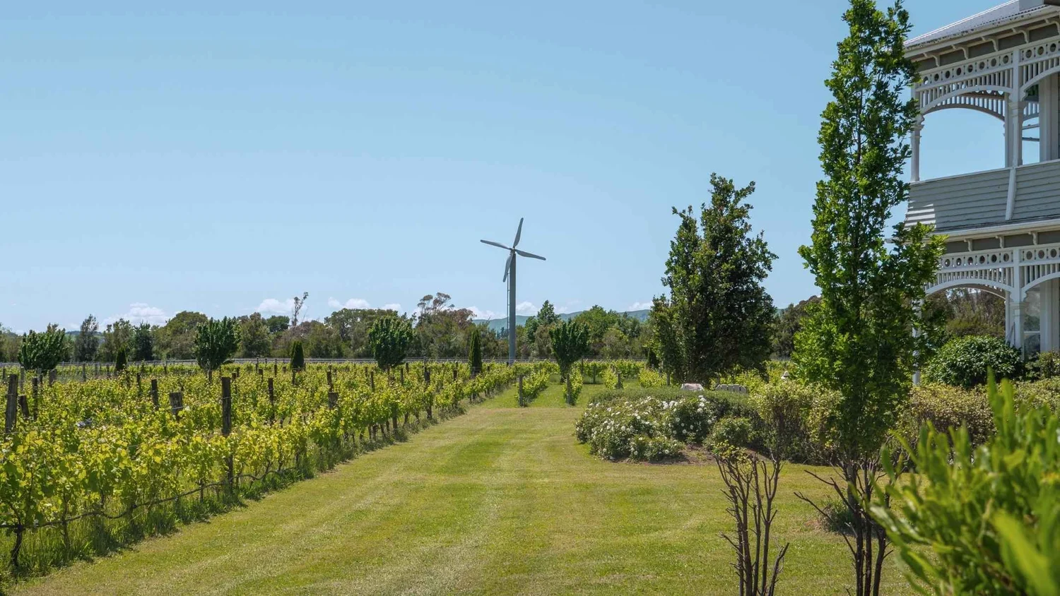 Editor’s Guide to Martinborough: Where to Stay, Eat and Play