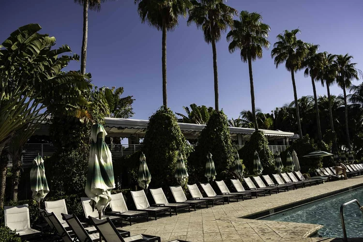 Kimpton Surfcomber Miami Review: Sun, Sand and Style