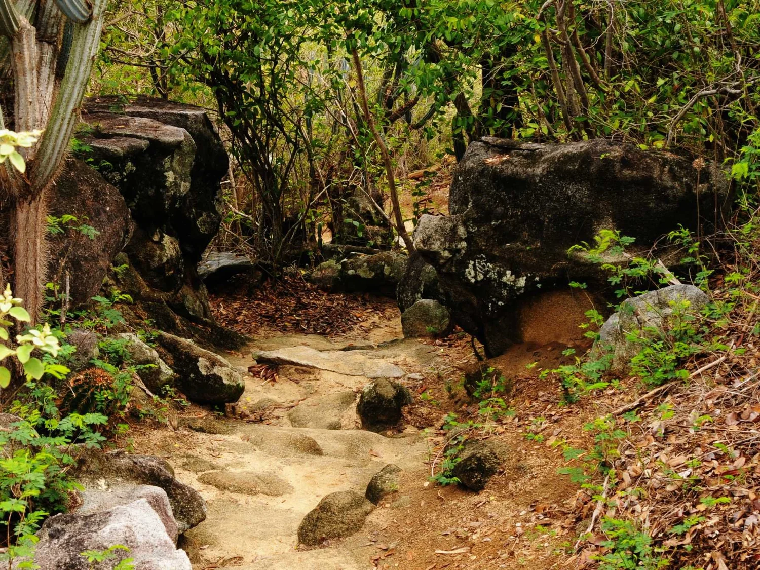 Exploring The Baths | Virgin Gorda | British Virgin Islands