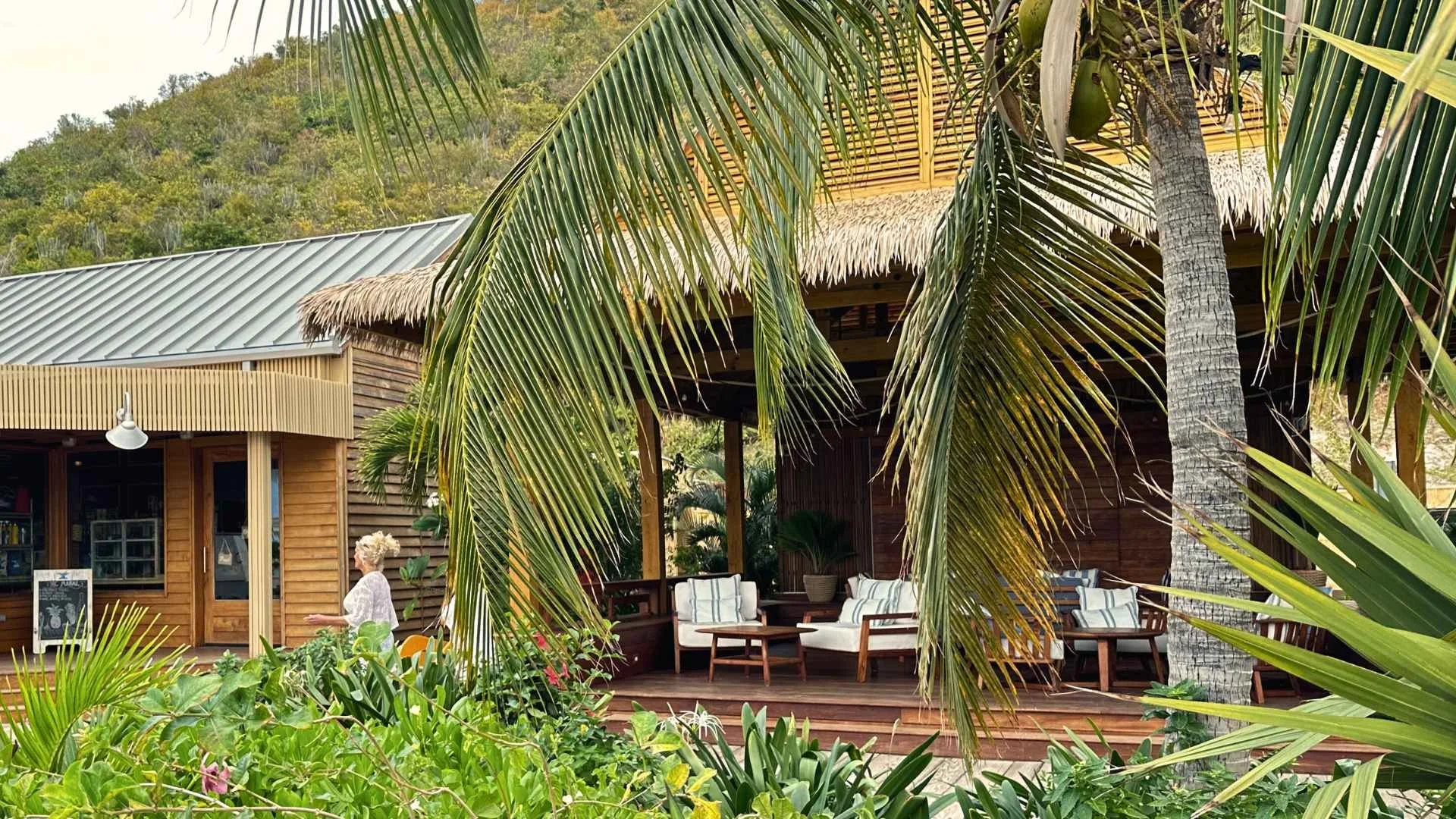 The British Virgin Island's Best Beach Clubs (2024)