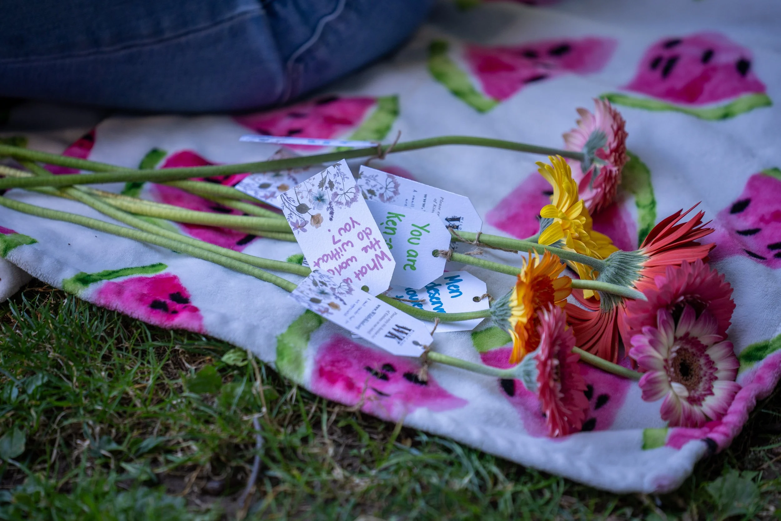Community Acts of Kindness — WildlyKind