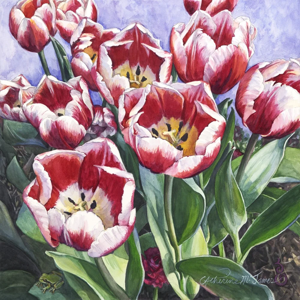 Catherine James | Discover Artful Watercolors—Shop Now — Scott Milo ...