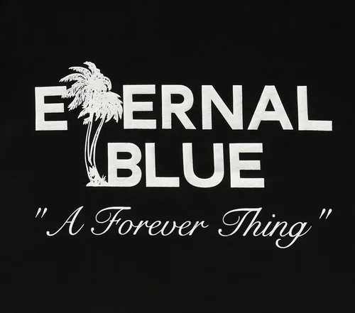 SHOP — ETERNAL BLUE