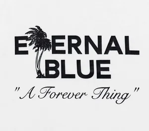 SHOP — ETERNAL BLUE