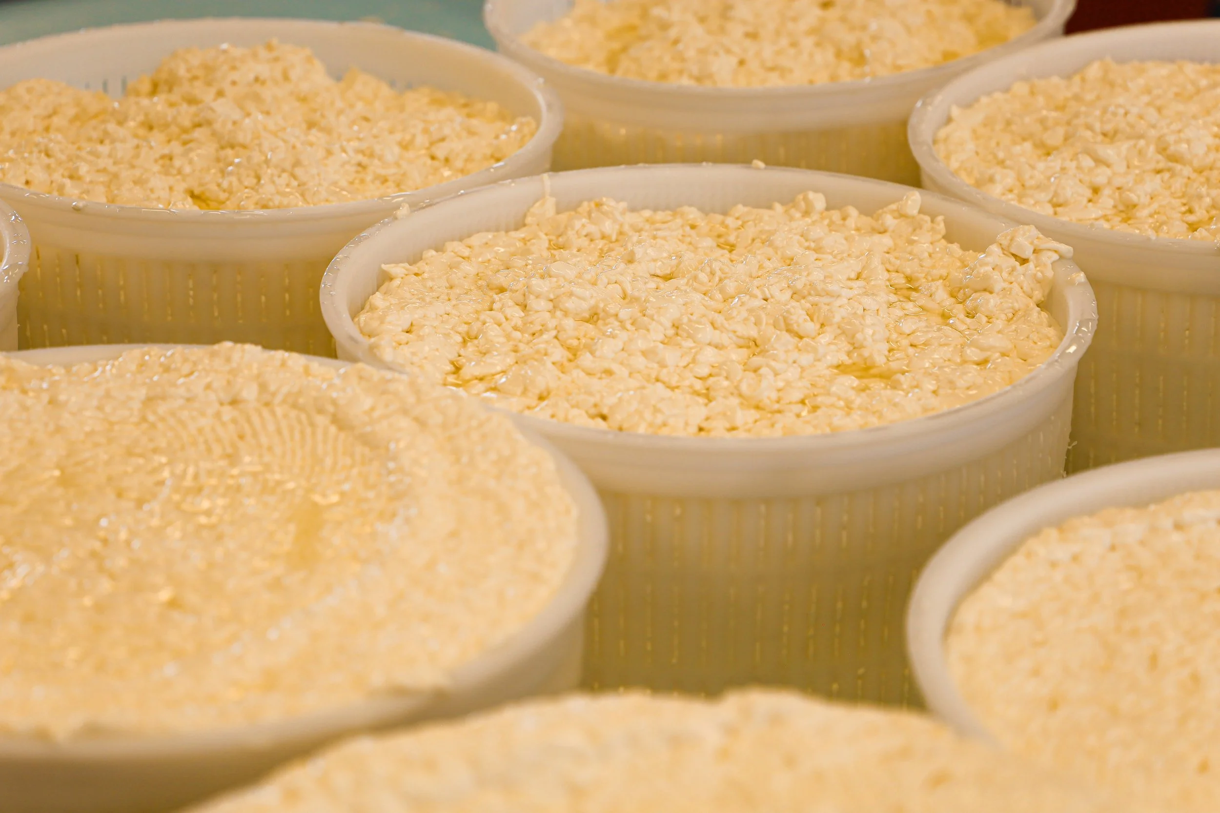 Our Cheeses — Churchtown Dairy