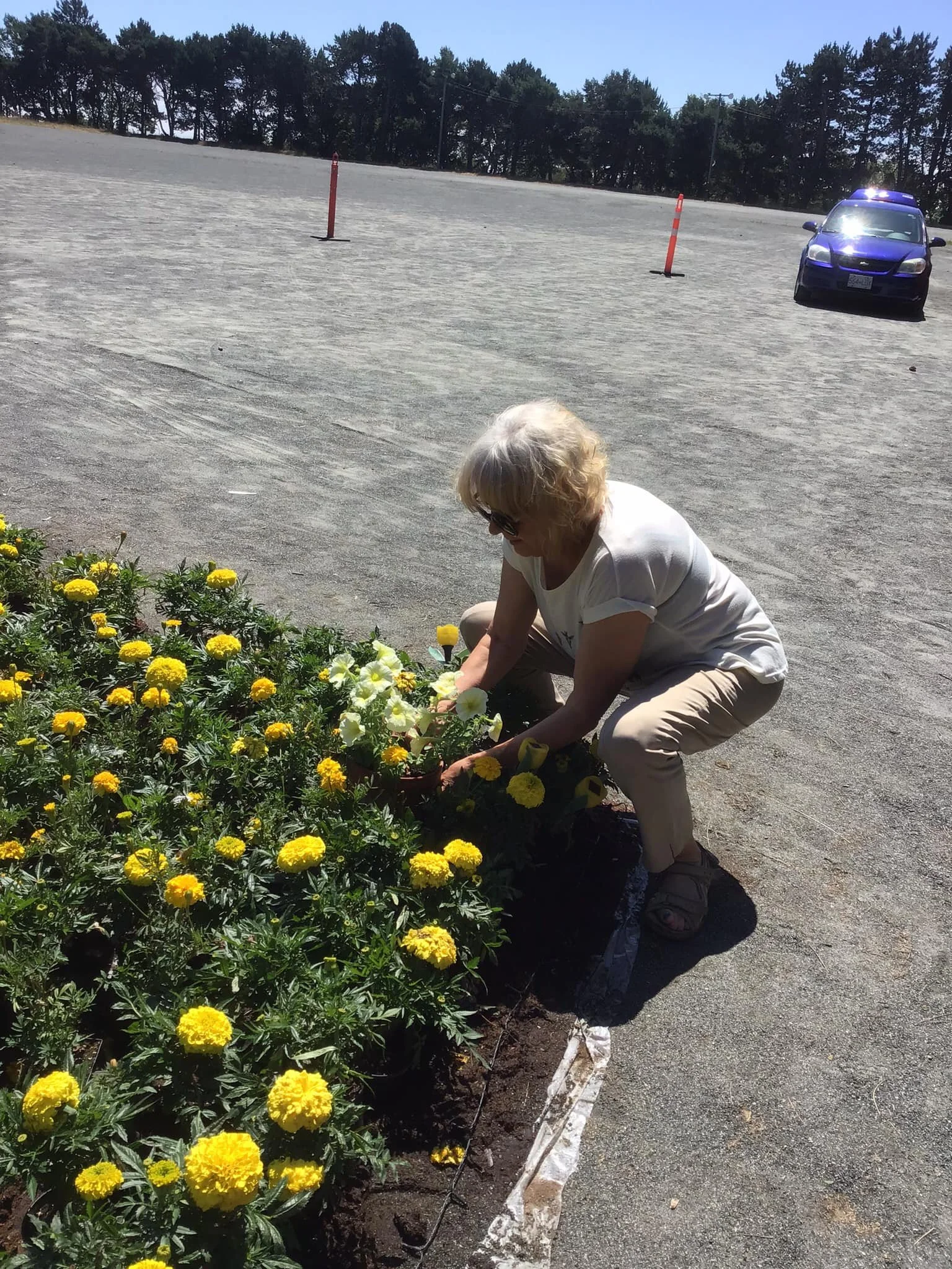 Flower Farm Victoria Bc | Best Flower Site