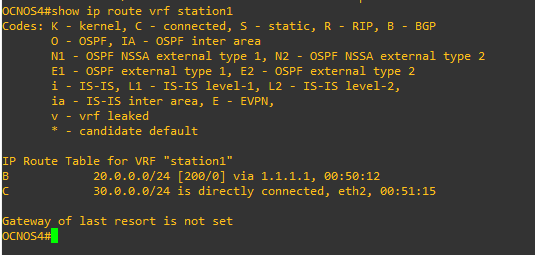 Configuring MPLS L3VPN on IP Infusion OcNOS — Pine Networks