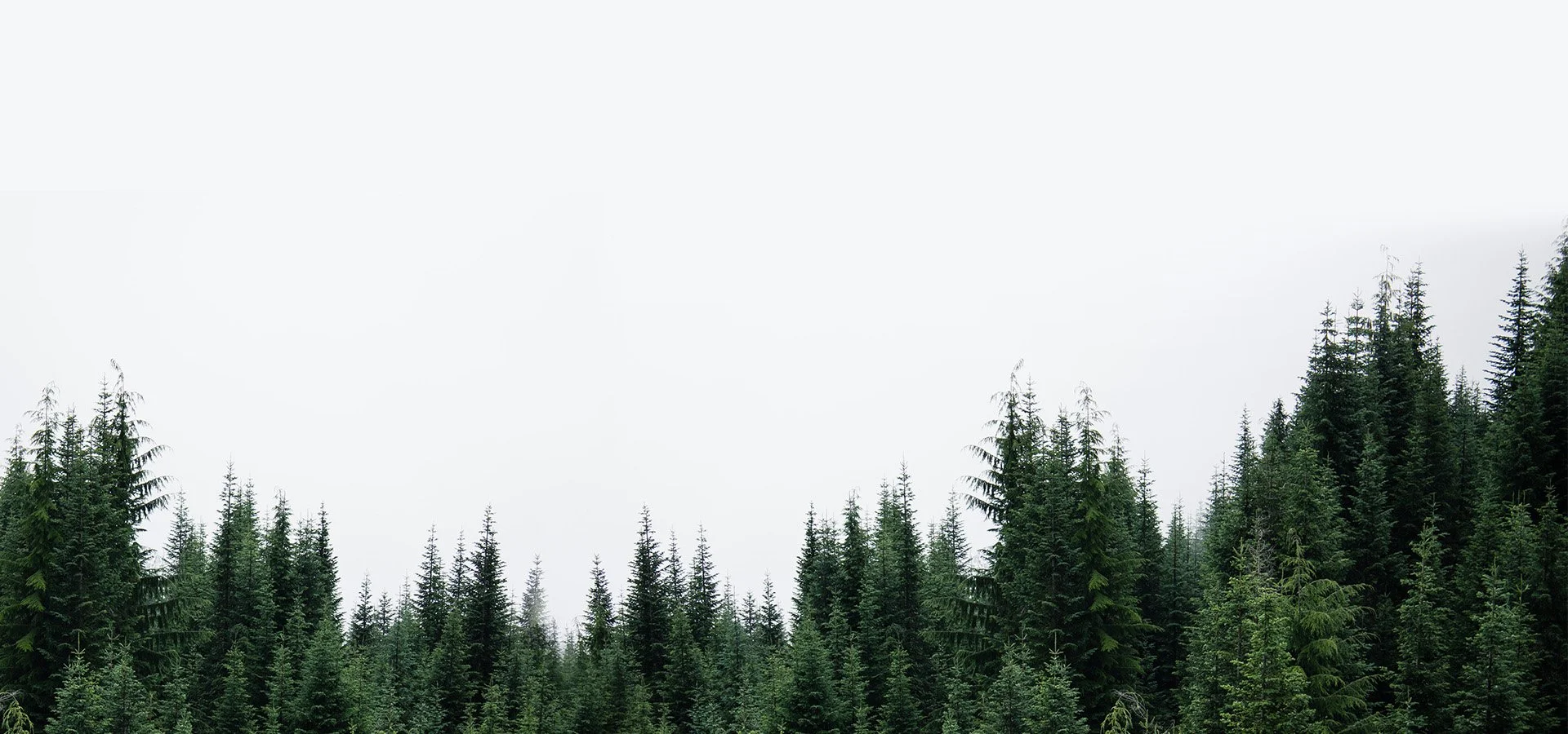 Pine Networks | Integrated Networking Solutions (France)