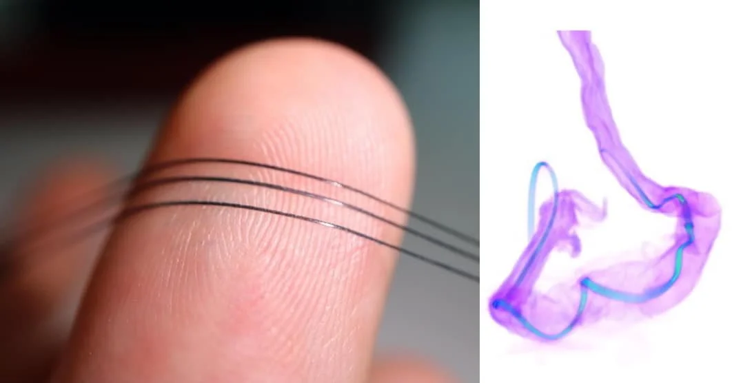 PUBLICATIONS — Zheng LAB