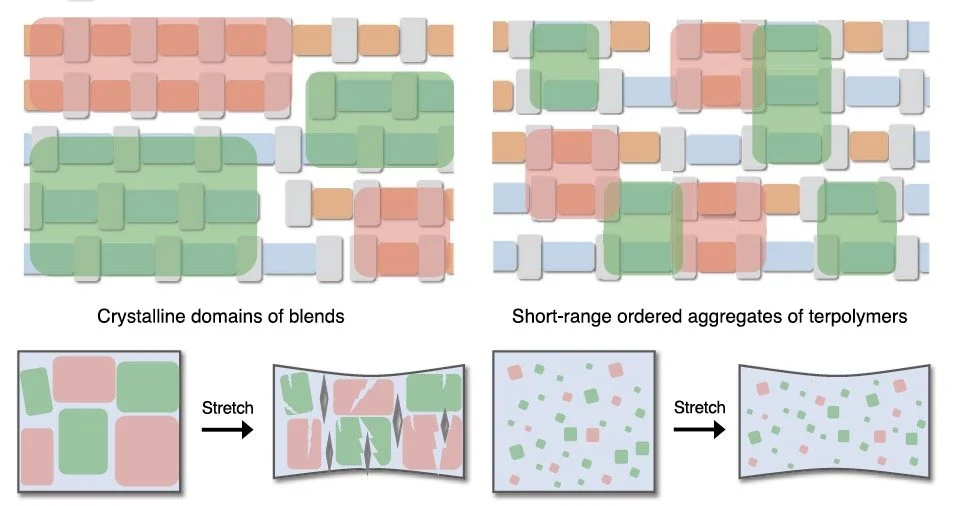 PUBLICATIONS — Zheng LAB