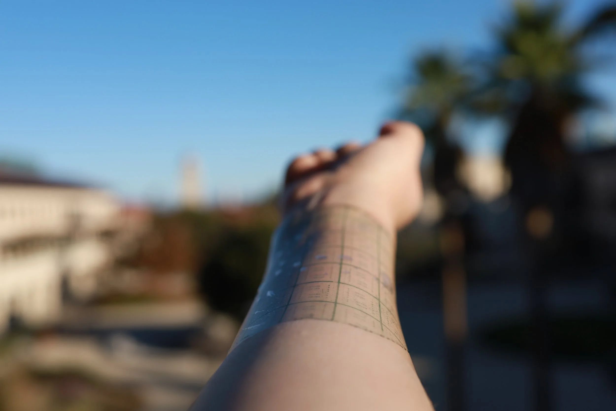 PUBLICATIONS — Zheng LAB