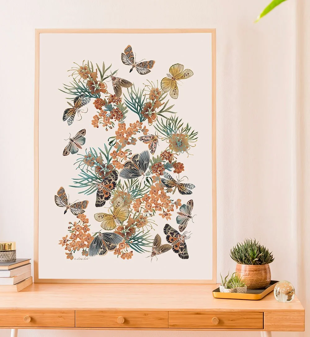 Australian Native Moths Giclee Fine Art Print on a dark background. A4 ...