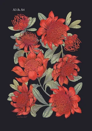 Australian Native Floral Bouquet Wall Art Print. Featuring Waratah ...