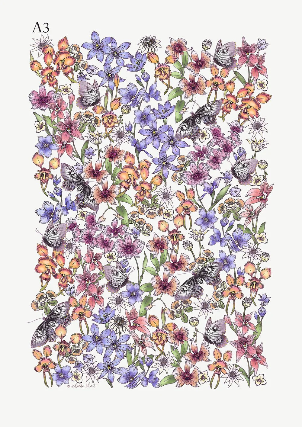 Australian Native Floral Bouquet Wall Art Print. Featuring Waratah ...