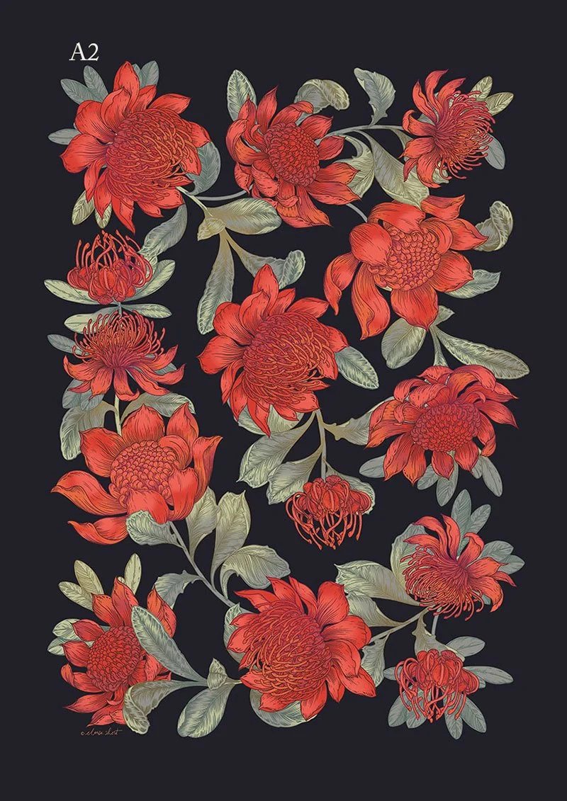 Australian Native Floral Bouquet Wall Art Print. Featuring Waratah ...
