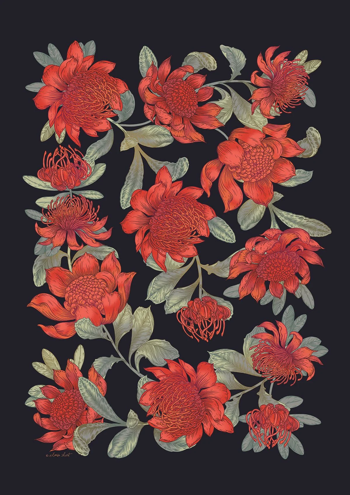 Australian Native Floral Bouquet Wall Art Print. Featuring Waratah ...