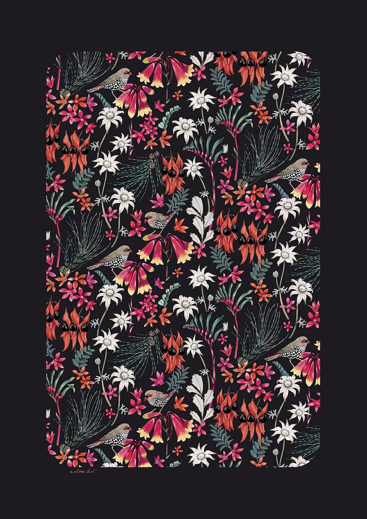 Australian Native Floral Bouquet Wall Art Print. Featuring Waratah ...