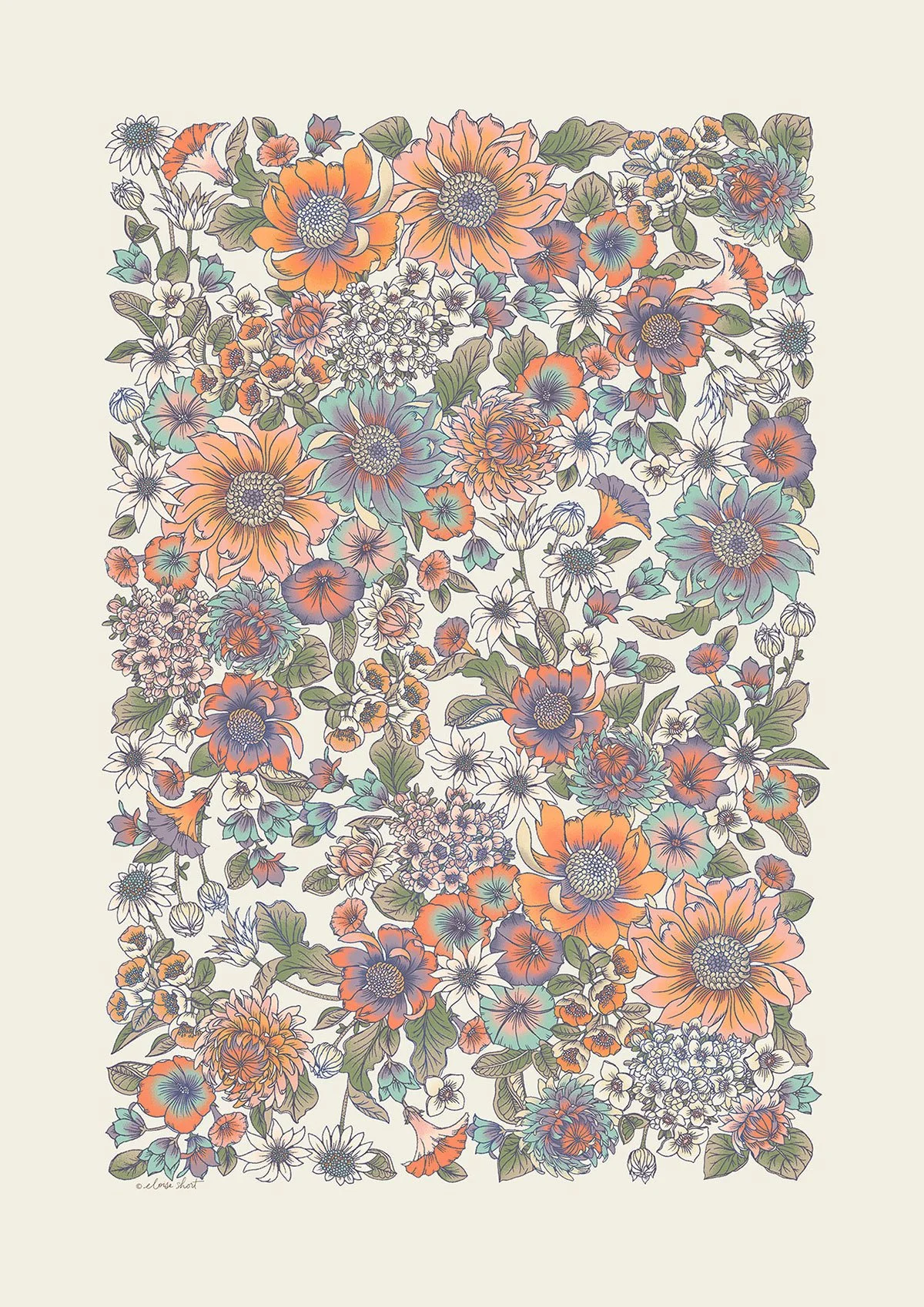 Australian Native Floral Bouquet Wall Art Print. Featuring Waratah ...