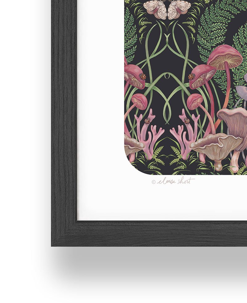Australian Native Moths Giclee Fine Art Print on a dark background. A4 ...