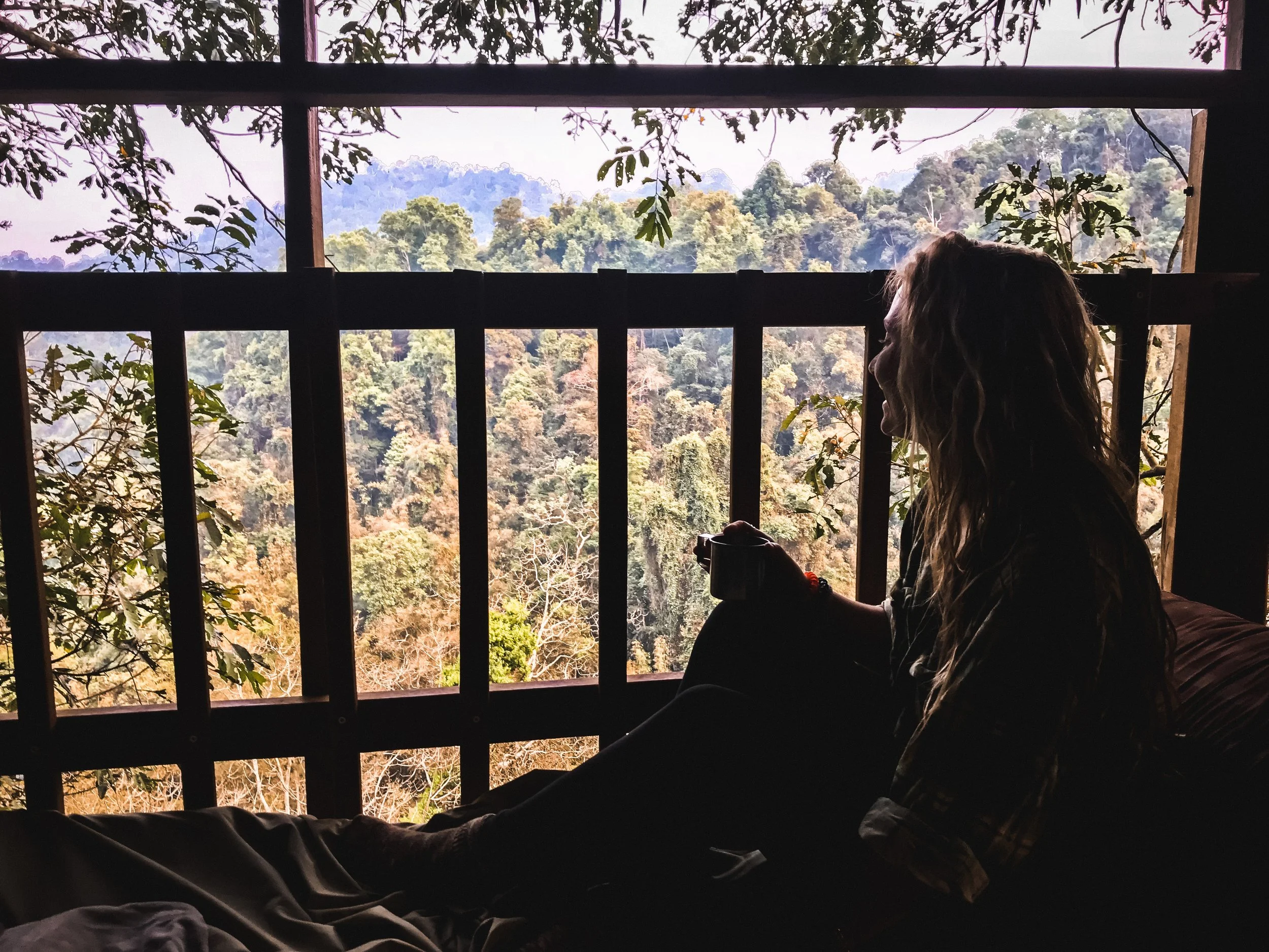 The Tallest Treehouse in The World | The Gibbon Experience — Deep ...