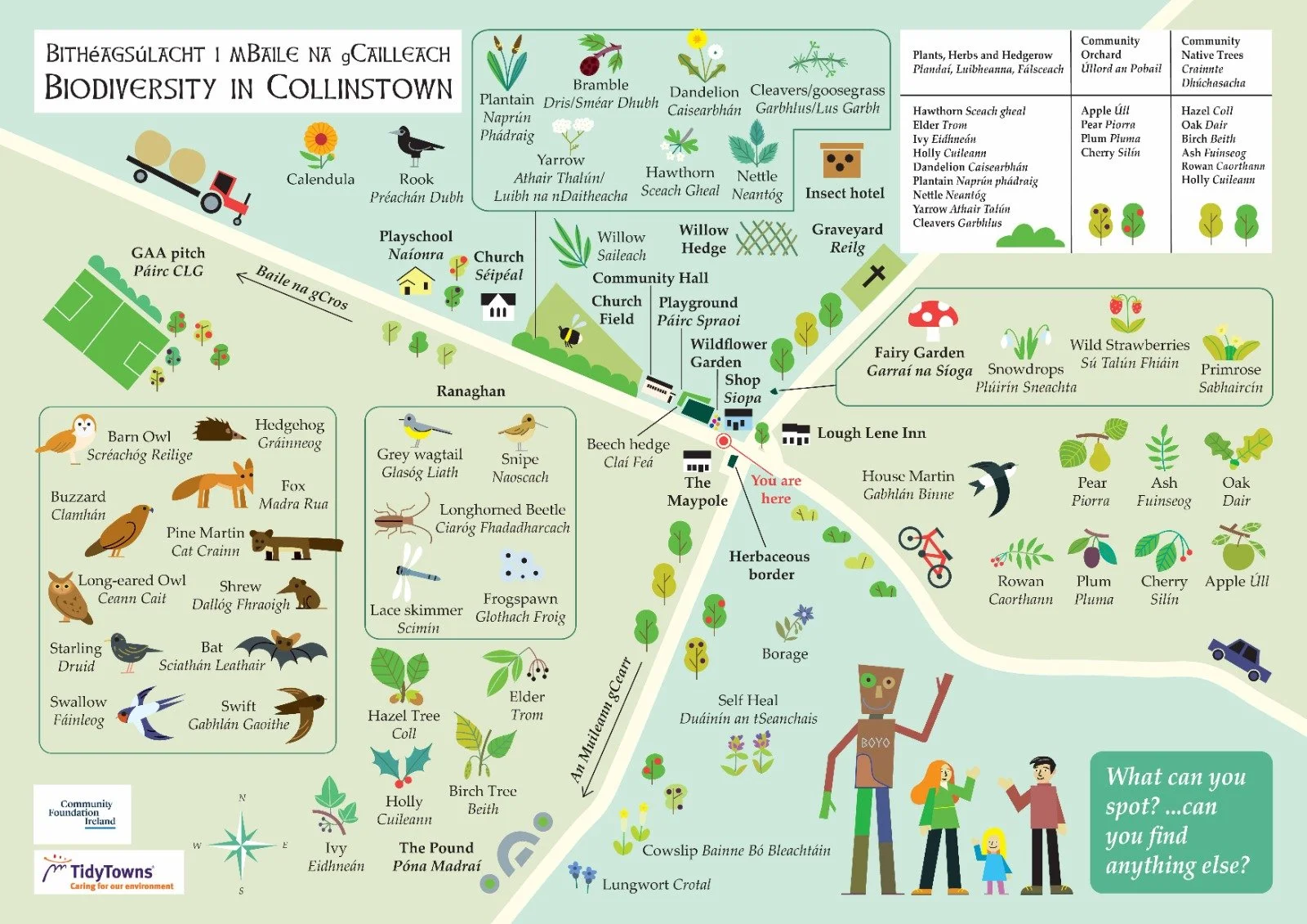 Collinstown Biodiversity Project Complete — Collinstown