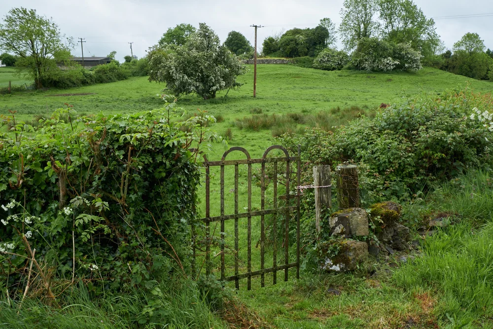 Kilpatrick Church — Collinstown