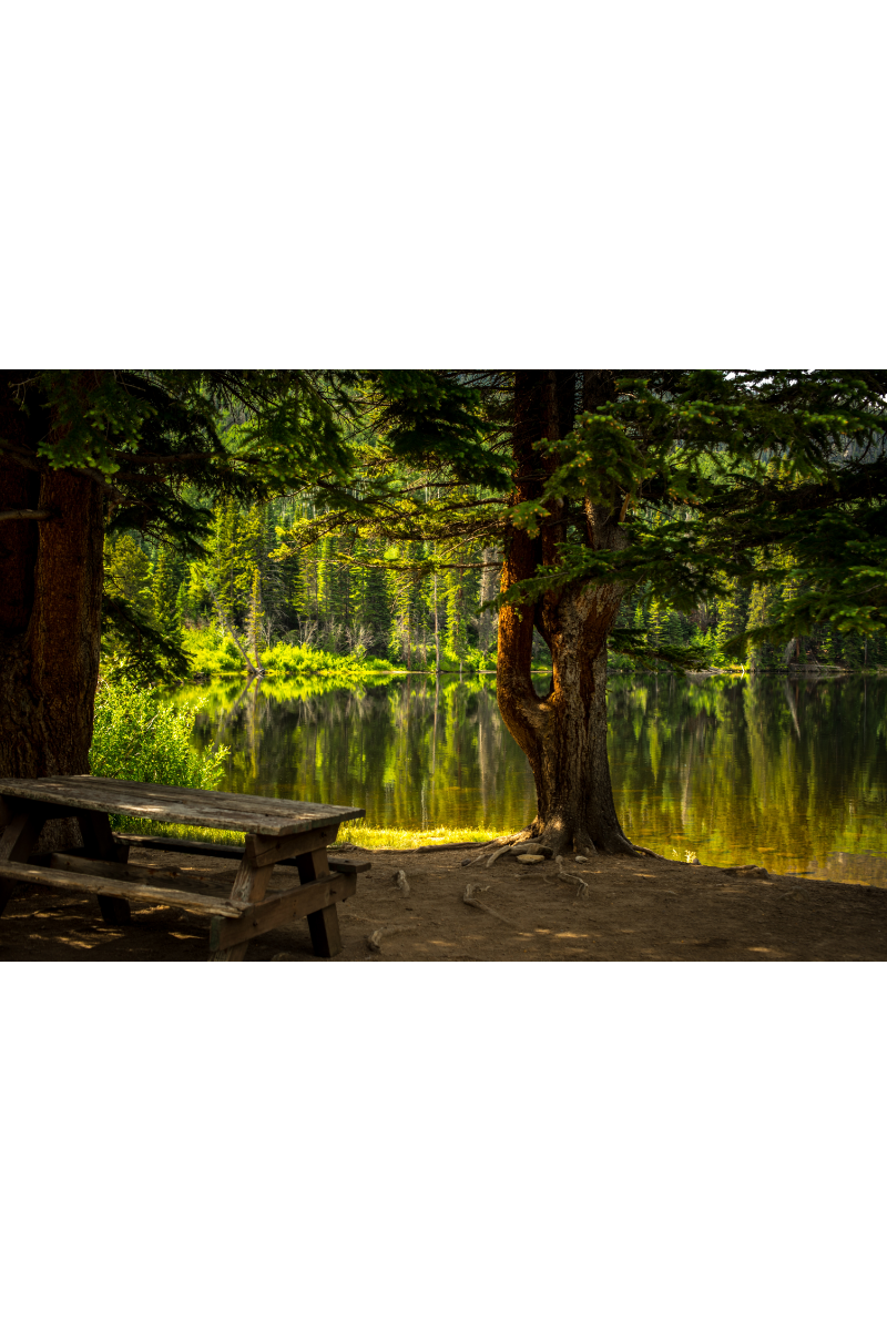 7 Lessons Learned from a Walk in Nature — Holistic Healing OT