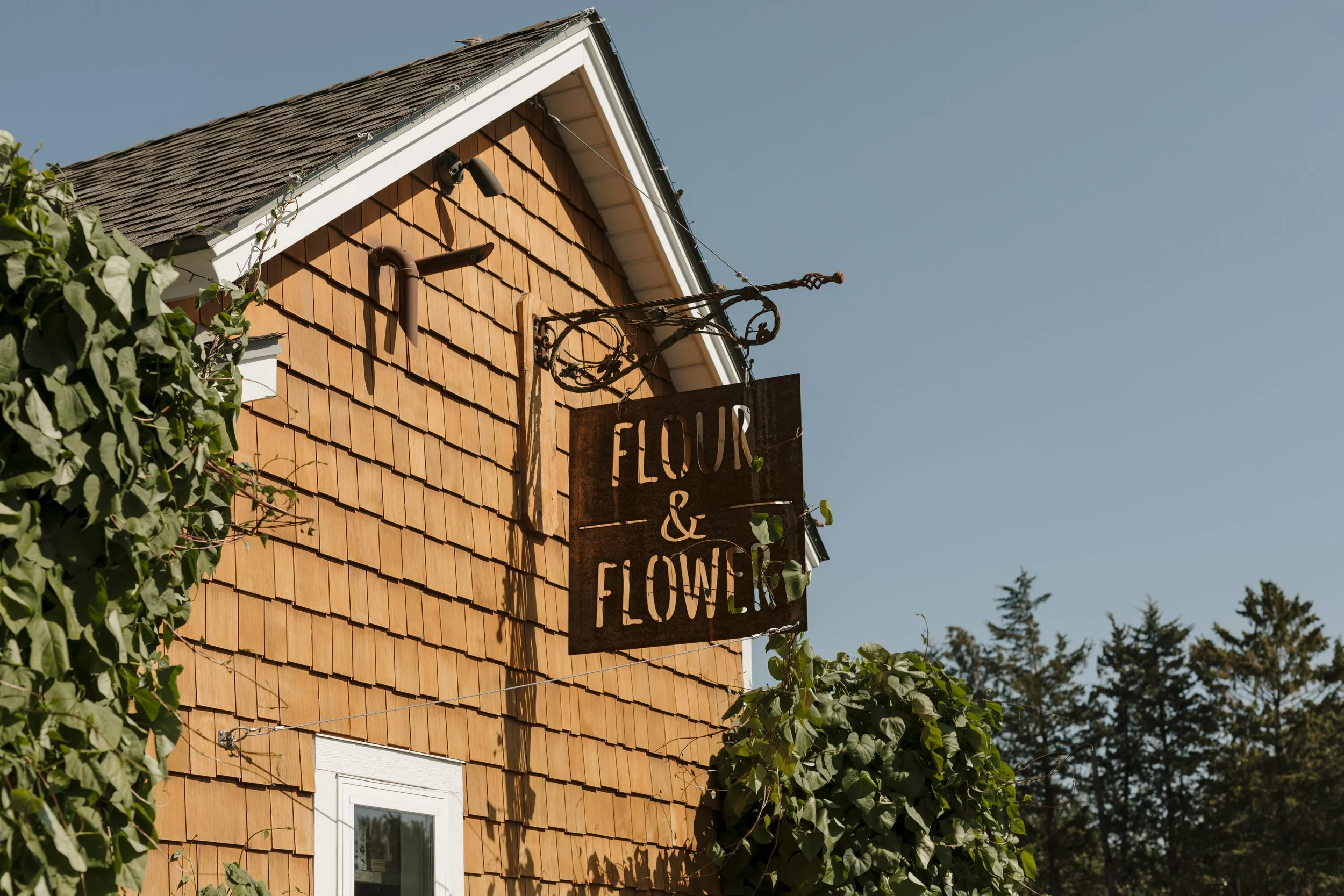 Saint Joseph, Minnesota | the BEST small town