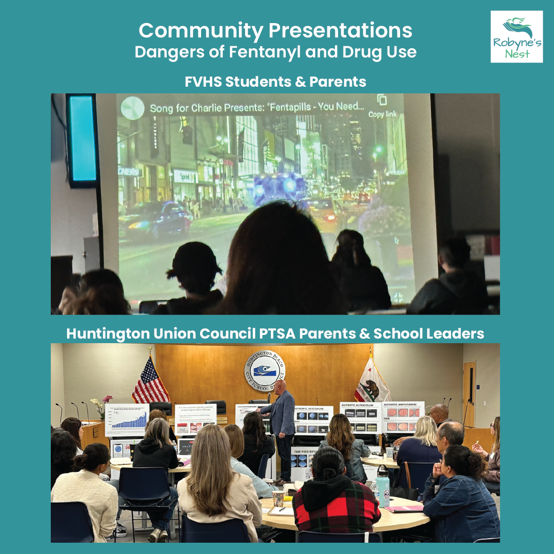 Community Education: Dangers of Fentanyl and Drug Use — Robyne's Nest