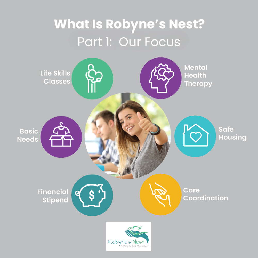 What is Robyne’s Nest? Part 1: Our Focus — Robyne's Nest